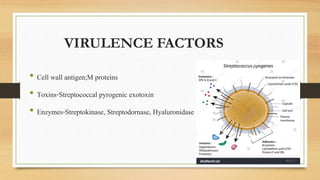 Overview of bacterial infections | PPTX