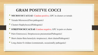 Overview of bacterial infections | PPTX