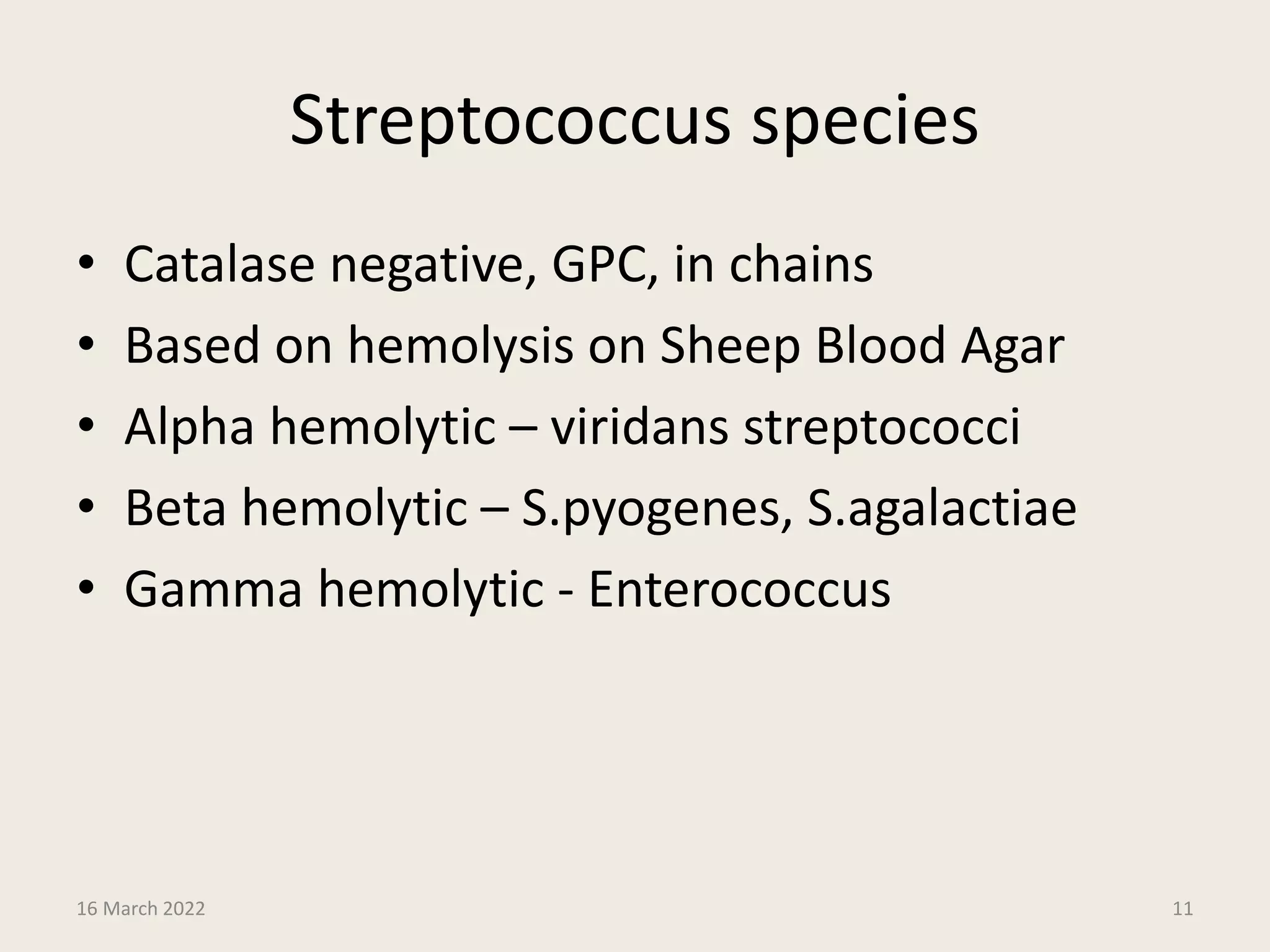 Overview of bacterial infections | PPTX