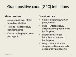 Overview of bacterial infections | PPTX