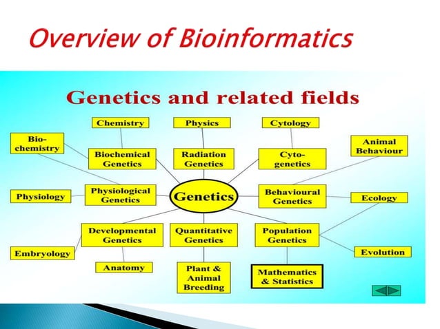 Overview of bioinformatics | PPTX