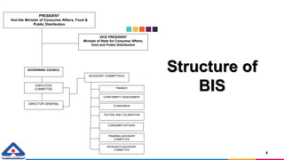 Overview of BIS Activities.pptx