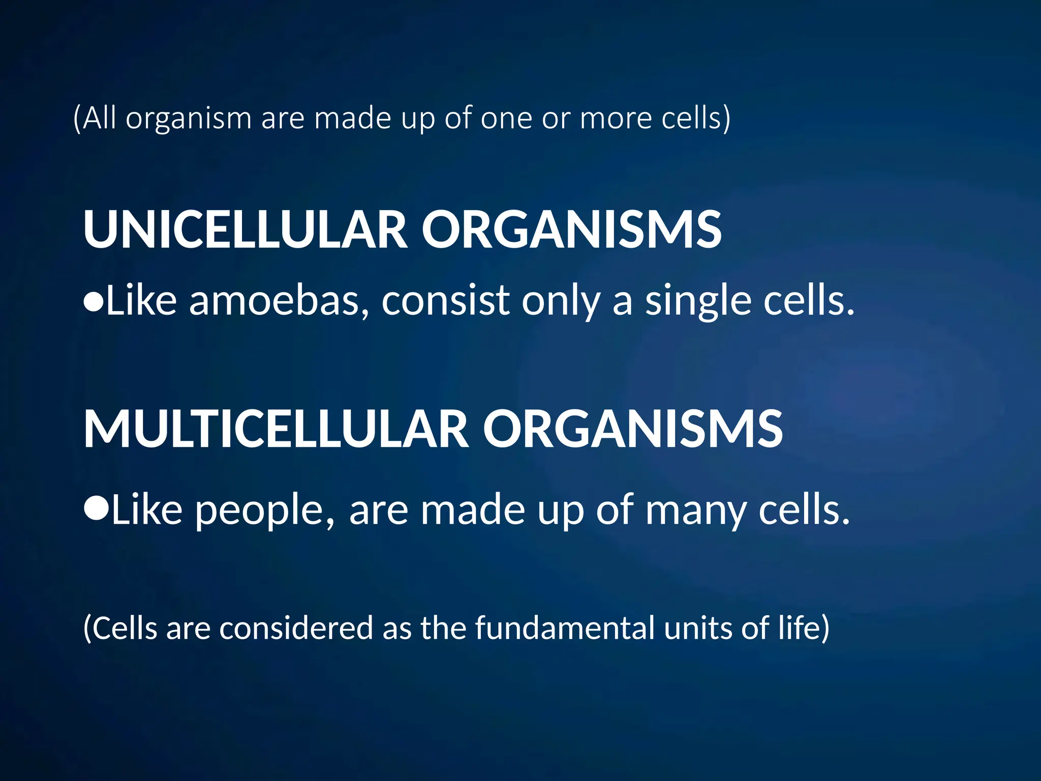 Overview of bod-WPS power point Office.pptx