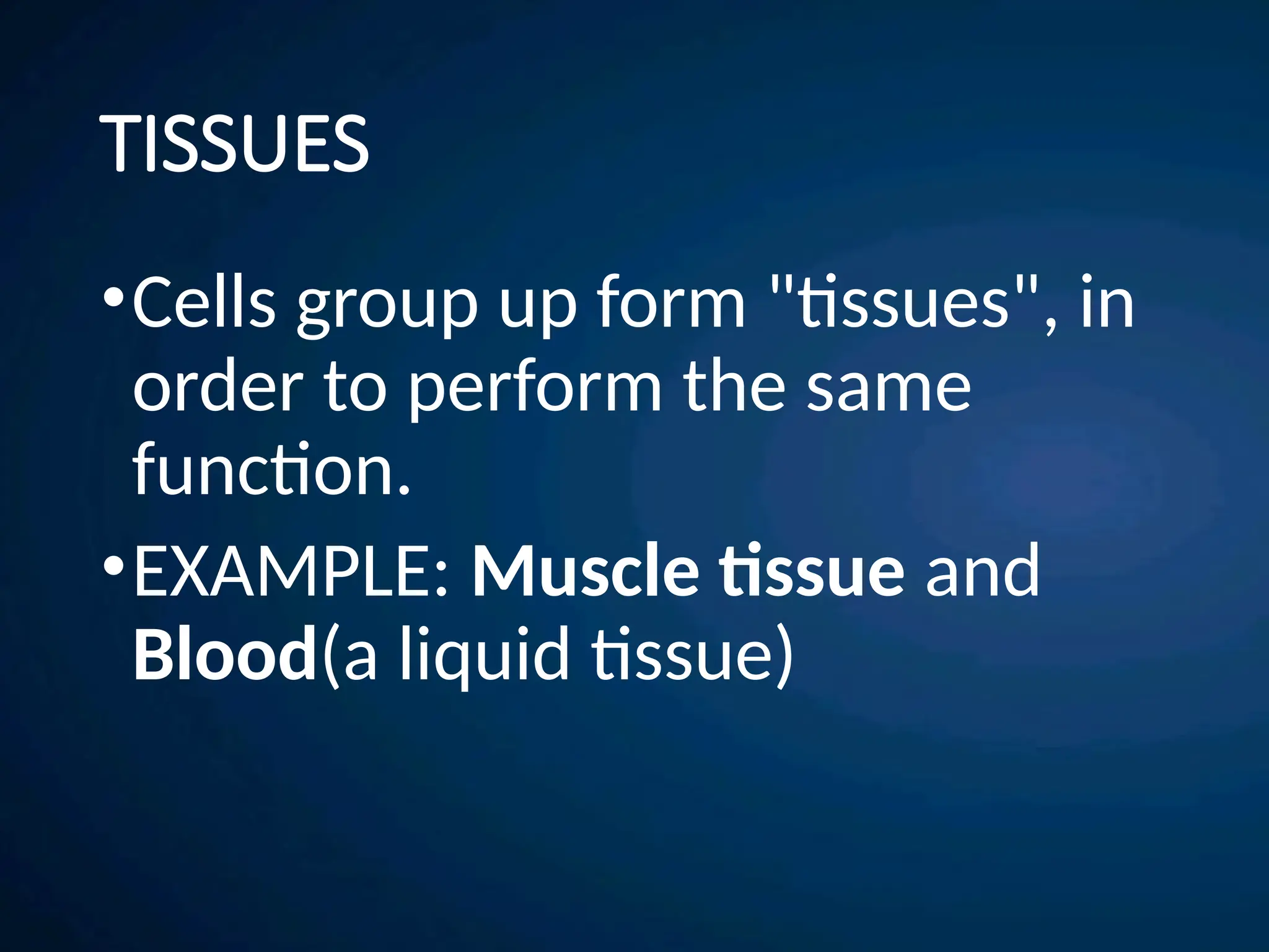 Overview of bod-WPS power point Office.pptx