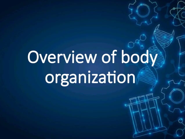 Overview of bod-WPS power point Office.pptx
