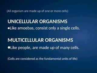 Overview of bod-WPS power point Office.pptx