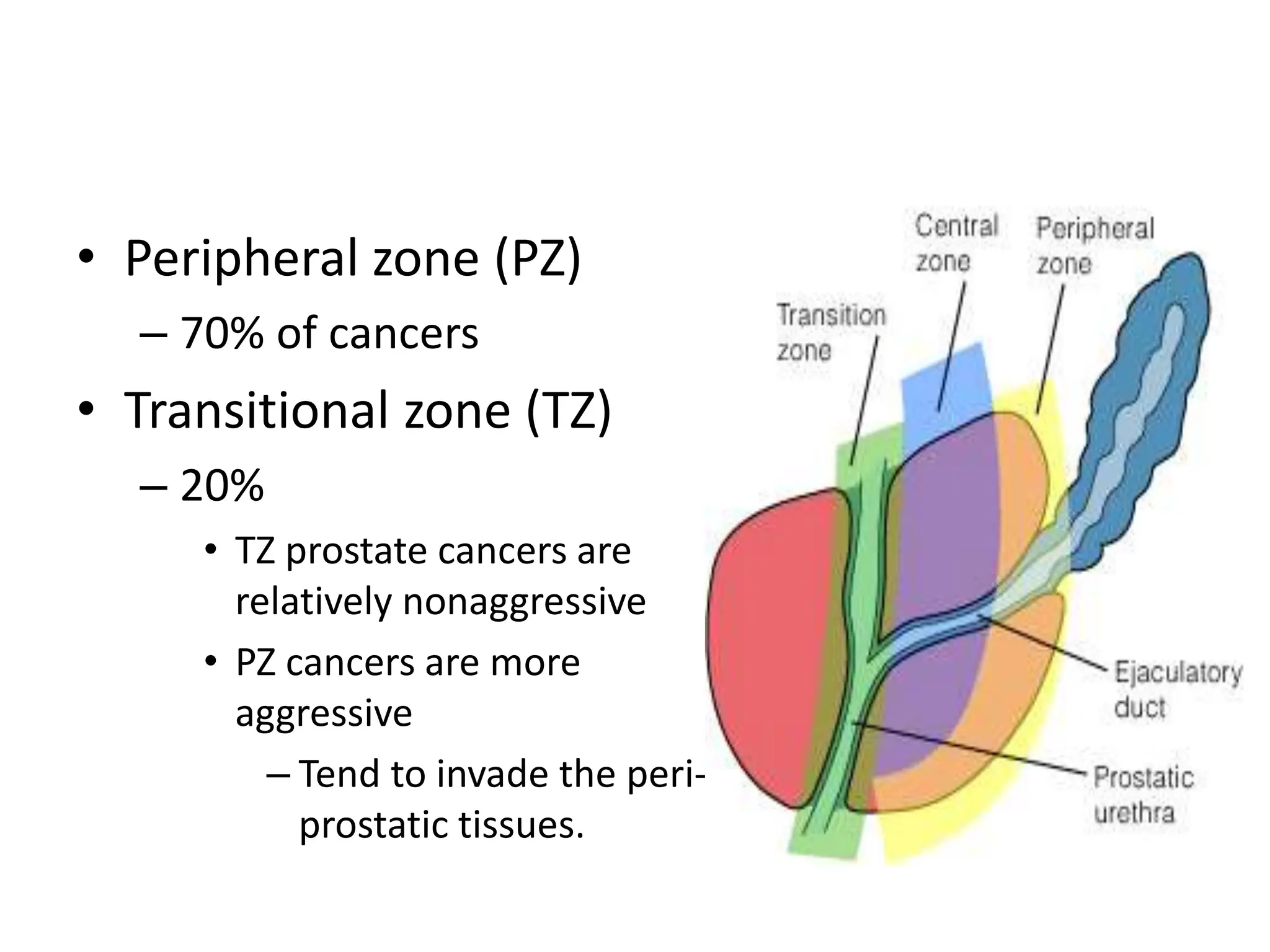 Overview of Carcinoma Prostate and Genetics | PPTX