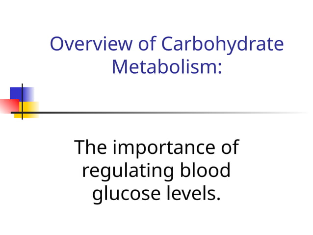 Overview of Carbohydrate Metabolism.ppt t | PPT