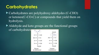 Overview of carbohydrate metabolism.pptx