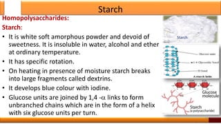 Overview of Carbohydrates | PPTX