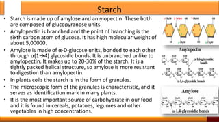 Overview of Carbohydrates | PPTX | Chemistry | Science