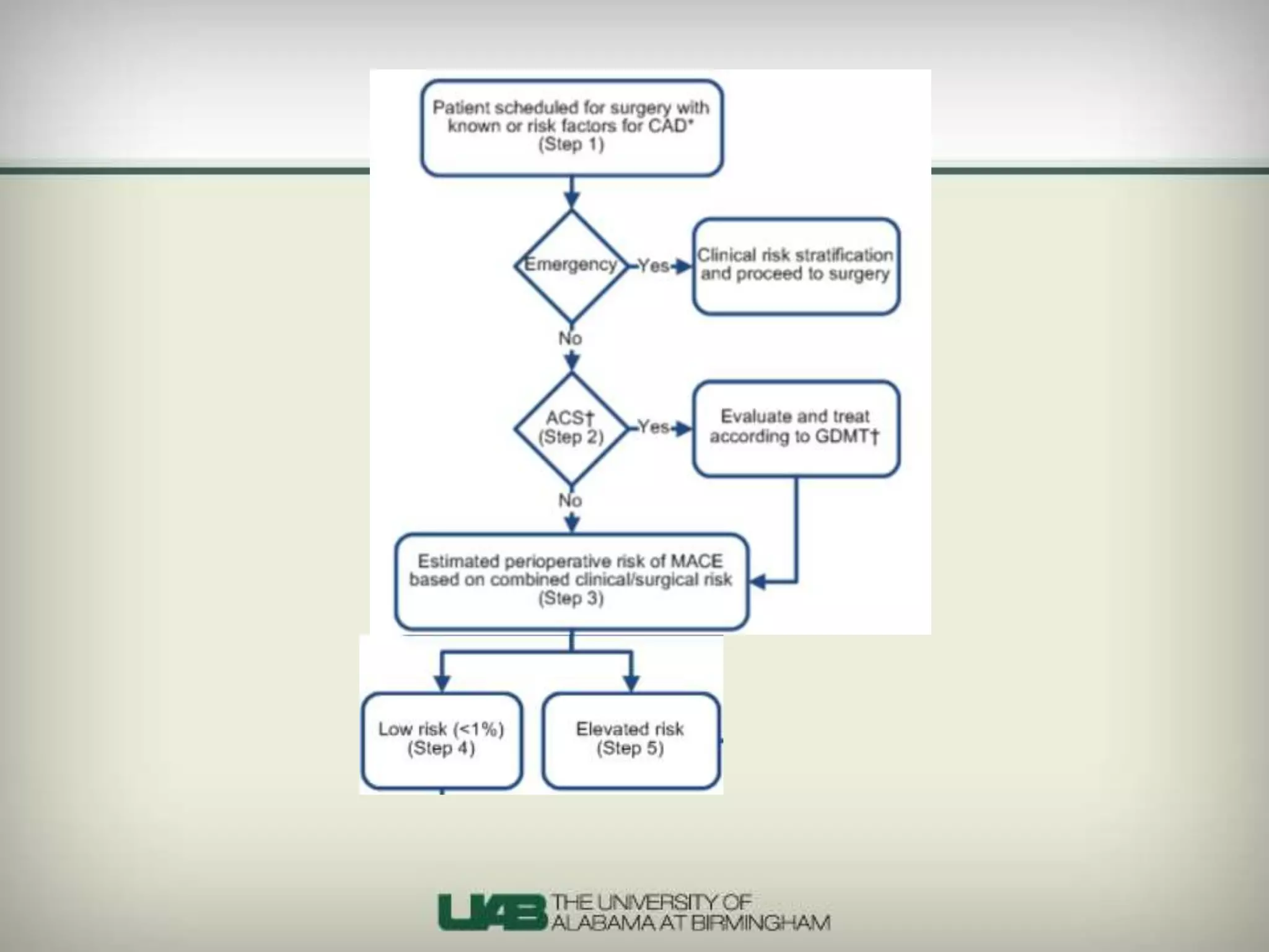 Overview Of Preoperative Cardiac Risk Assessment Ppt