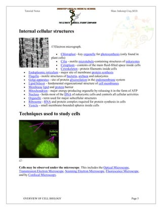 IVMS-OVERVIEW OF CELL BIOLOGY | PDF