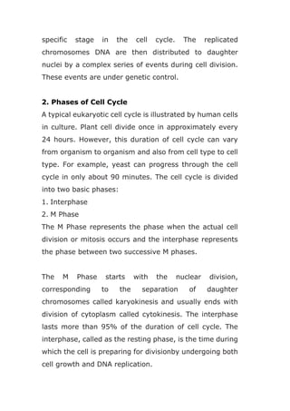 Overview of Cell Cycle by Javali.G. | PDF
