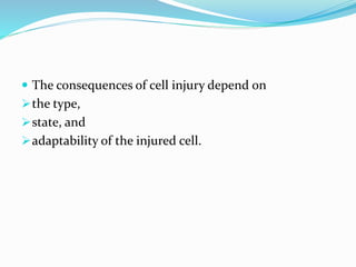 Overview of Cell Injury and Cell Death.pptx