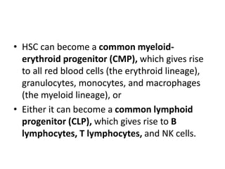Overview of cells and organ of immune system | PPTX