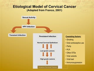 Overview of Cervical Cancer and HPV | PDF | Reproductive Health ...