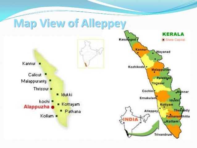 Overview of city alleppey