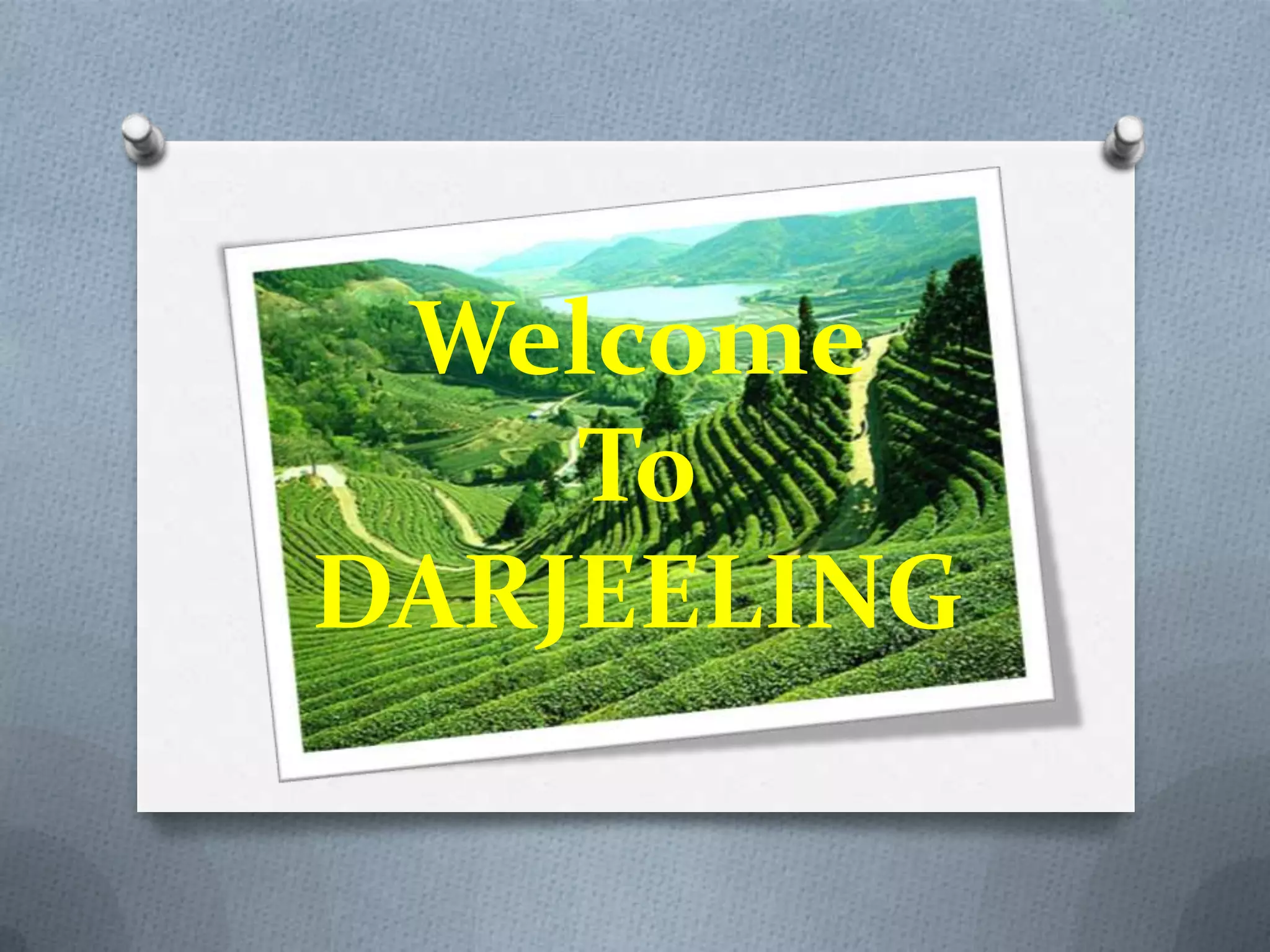 Overview of city darjeeling | PPTX