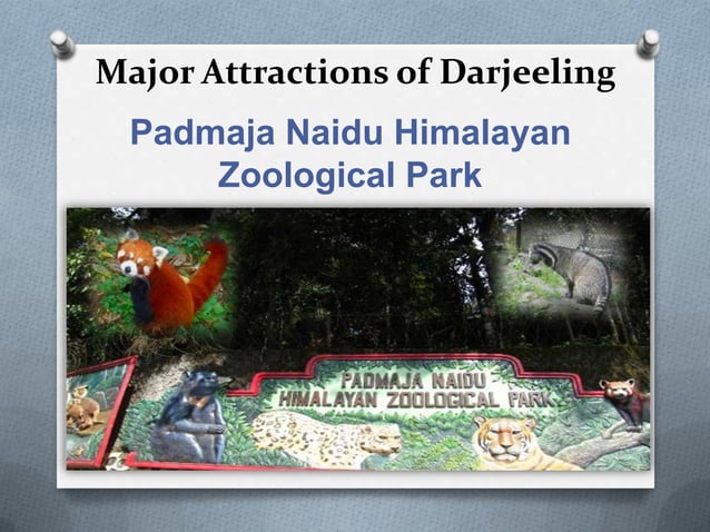 Overview of city darjeeling | PPTX | Asia Travel | Travel Locations