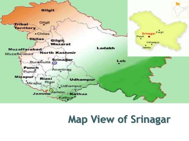 Overview of city srinagar