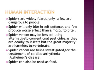 Overview of classification of arthopoda | PPT