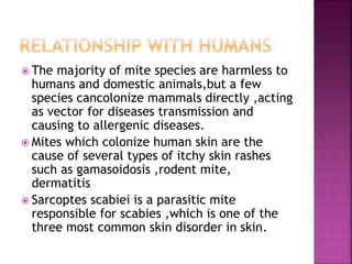 Overview of classification of arthopoda | PPTX