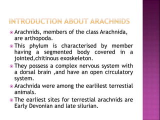 Overview of classification of arthopoda | PPT
