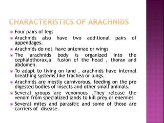 Overview of classification of arthopoda | PPT