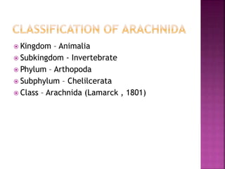 Overview of classification of arthopoda | PPT