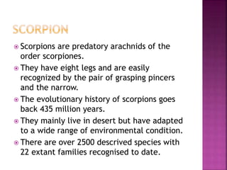 Overview of classification of arthopoda | PPTX