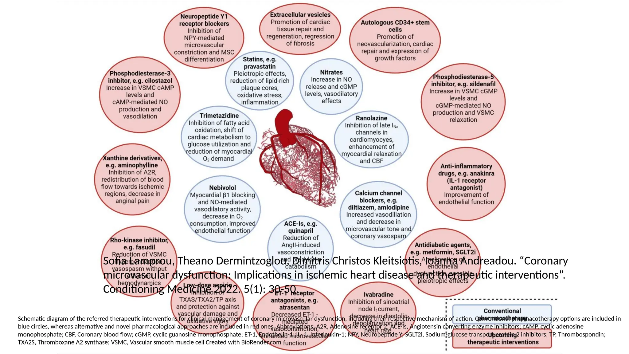 overview of Coronary Microvascular Diseases.pptx
