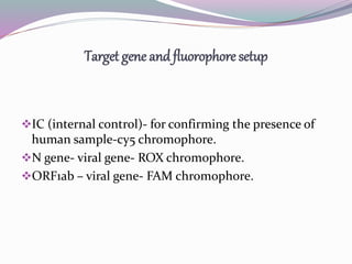 Overview of covid 19 testing by rt-pcr | PPT