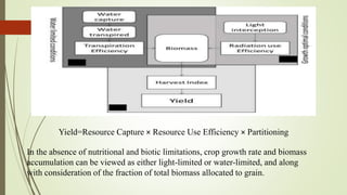 Overview of crop improvement in relation to physiological.pptx