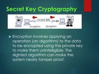 Overview of cryptography | PPTX