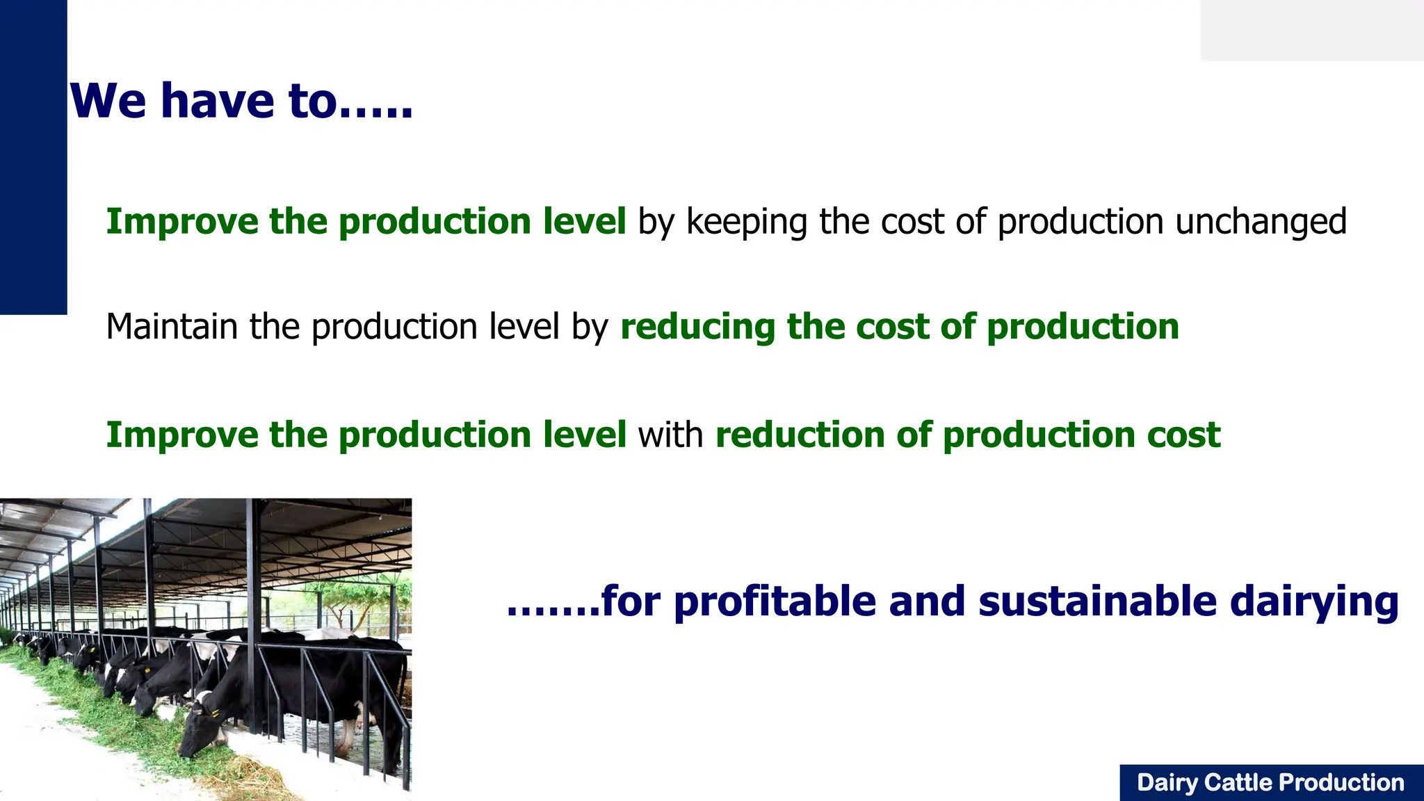 Overview of Dairy Cattle Production.pdf