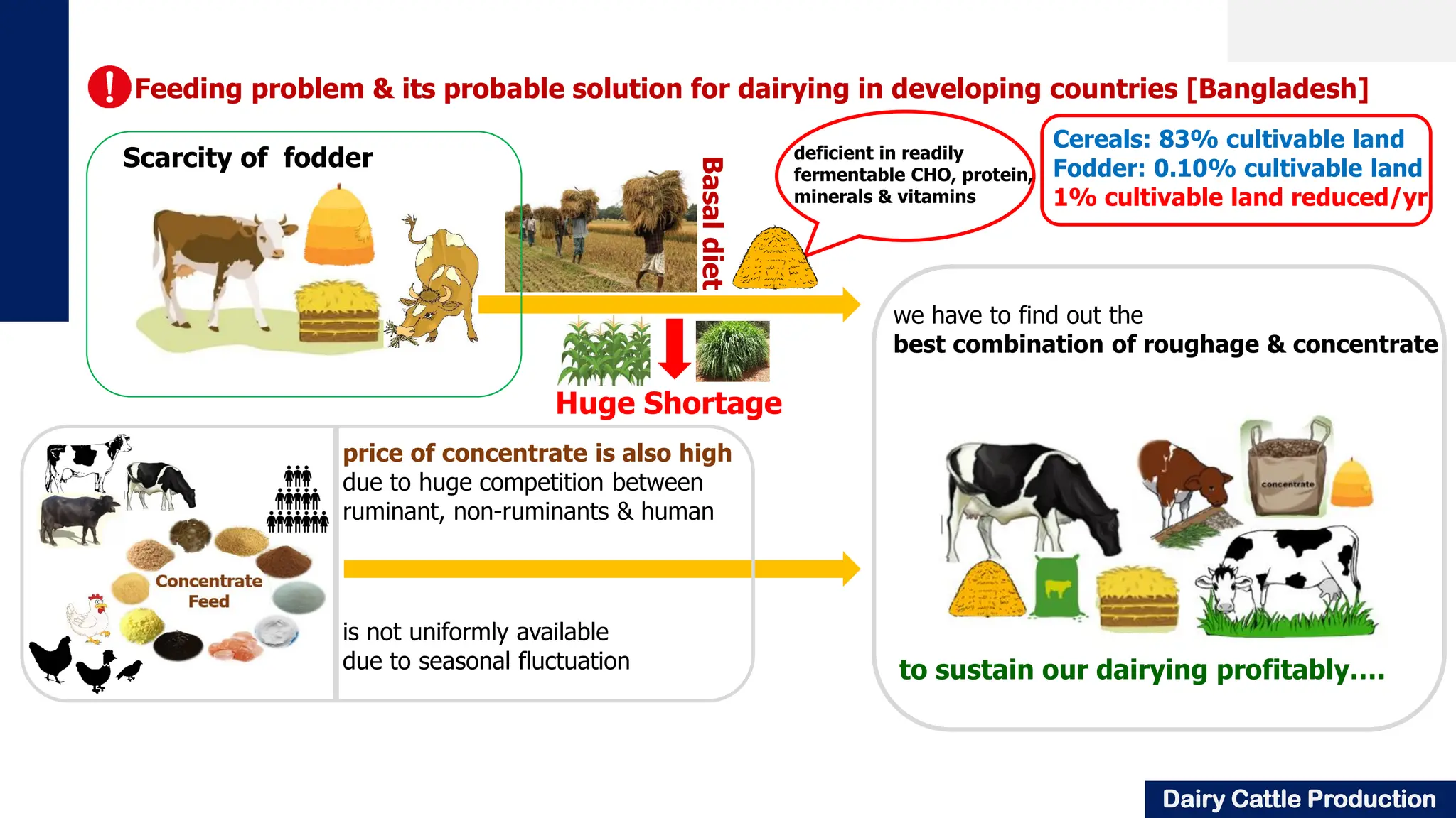 Overview of Dairy Cattle Production.pdf