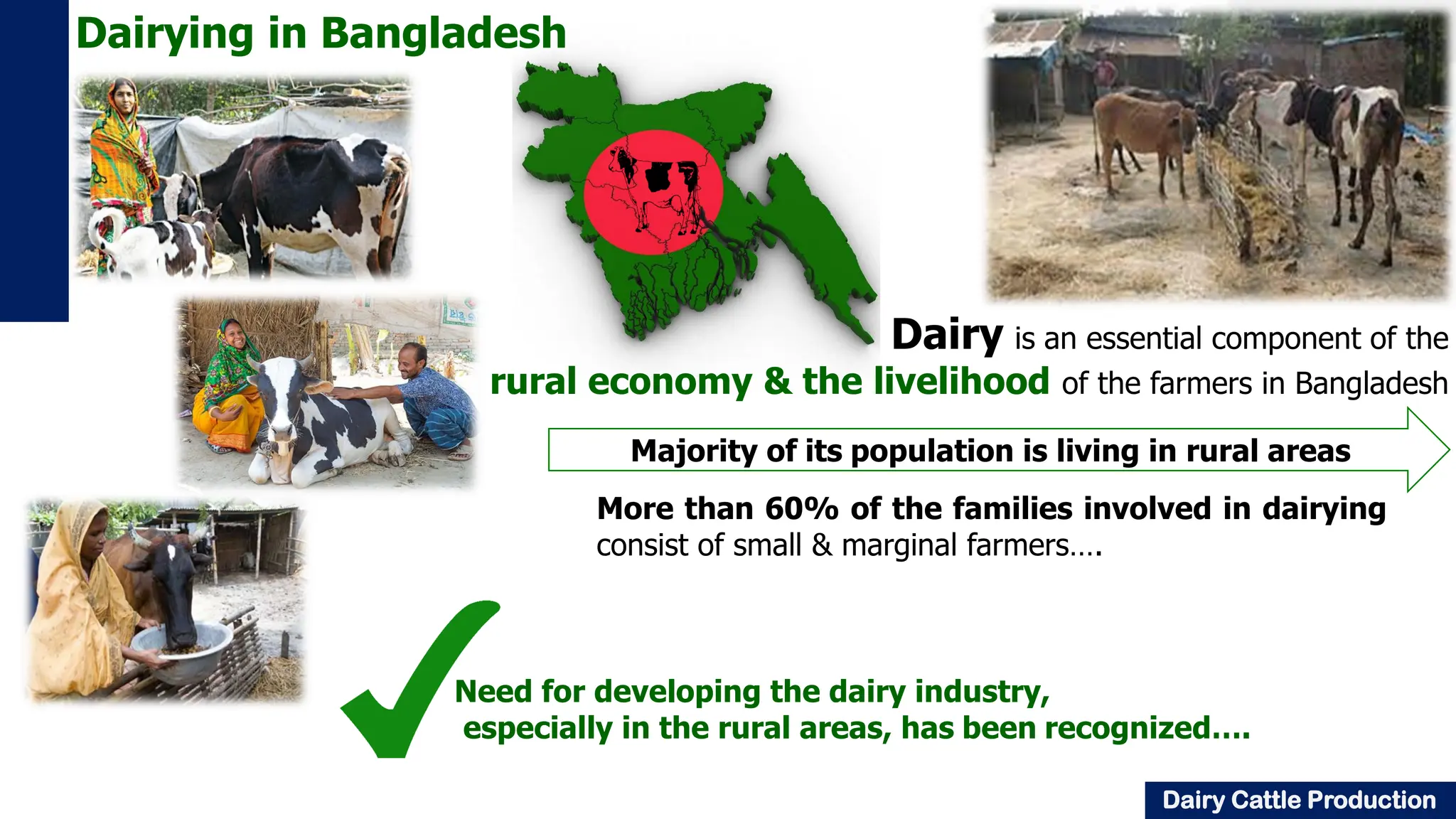 Overview of Dairy Cattle Production.pdf