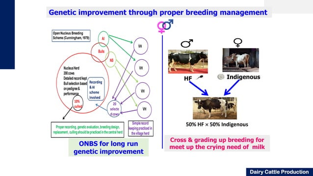 Overview of Dairy Cattle Production.pdf