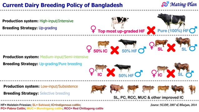 Overview of Dairy Cattle Production.pdf