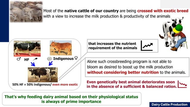 Overview of Dairy Cattle Production.pdf