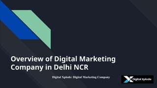 Overview of Digital Marketing Company in Delhi NCR.pptx