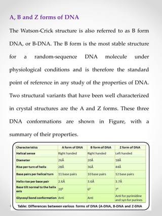 Overview of dna replication (prokaryotic & eukaryotic) | PPTX
