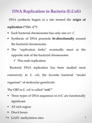 Overview of dna replication (prokaryotic & eukaryotic) | PPTX