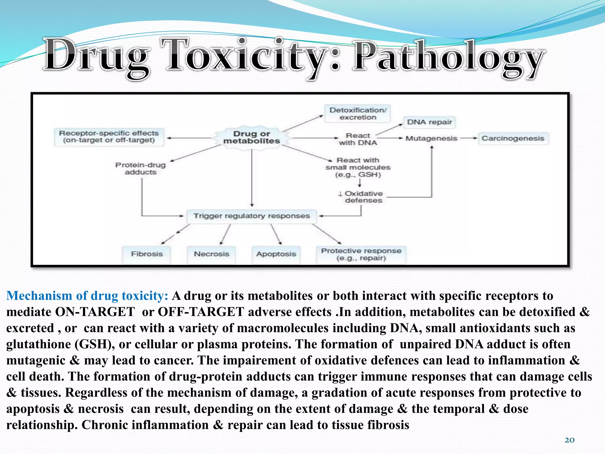 Overview of drug toxicity | PPTX