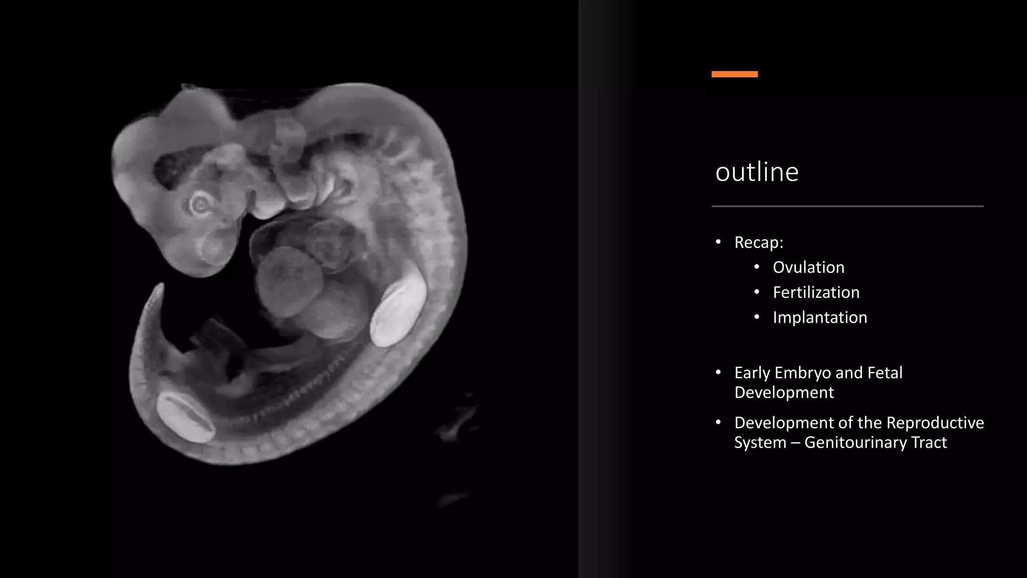 Overview of Embryology in the Reproductive System.pptx