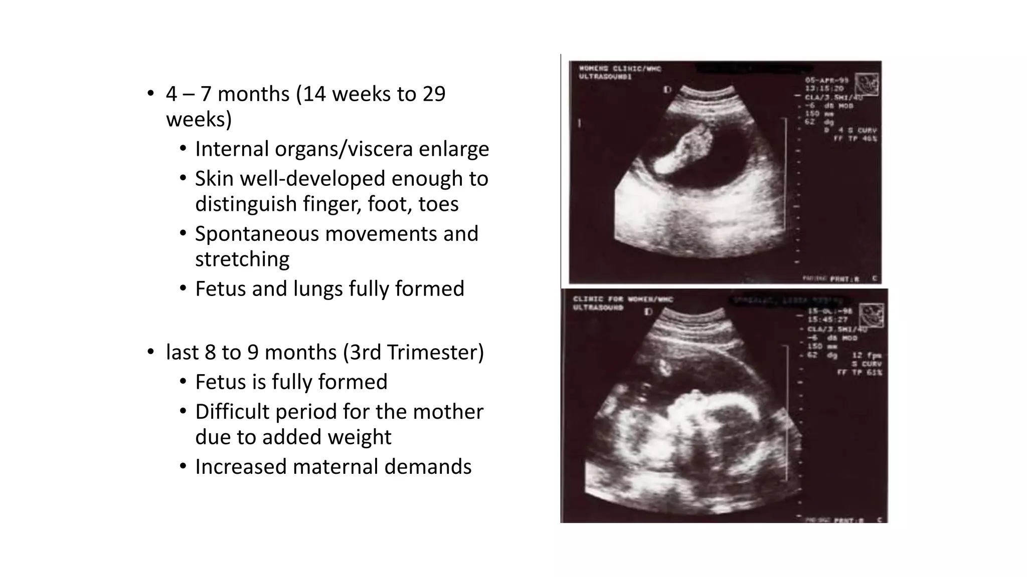 Overview of Embryology in the Reproductive System.pptx