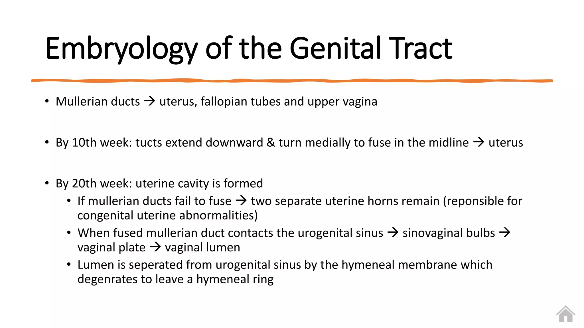 Overview of Embryology in the Reproductive System.pptx