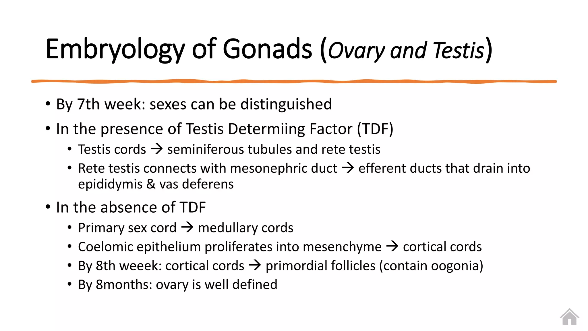 Overview of Embryology in the Reproductive System.pptx