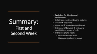 Overview of Embryology in the Reproductive System.pptx